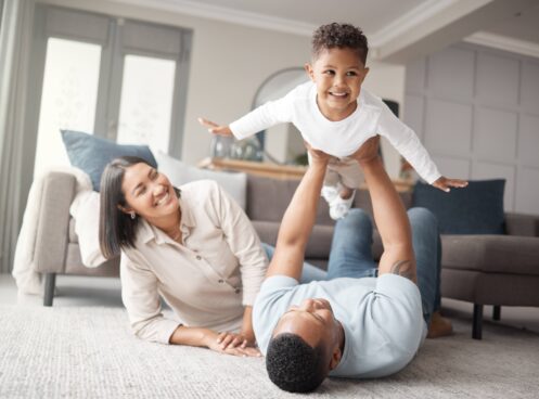 Homeowner’s Guide to Common Indoor Air Quality Issues | Sam's